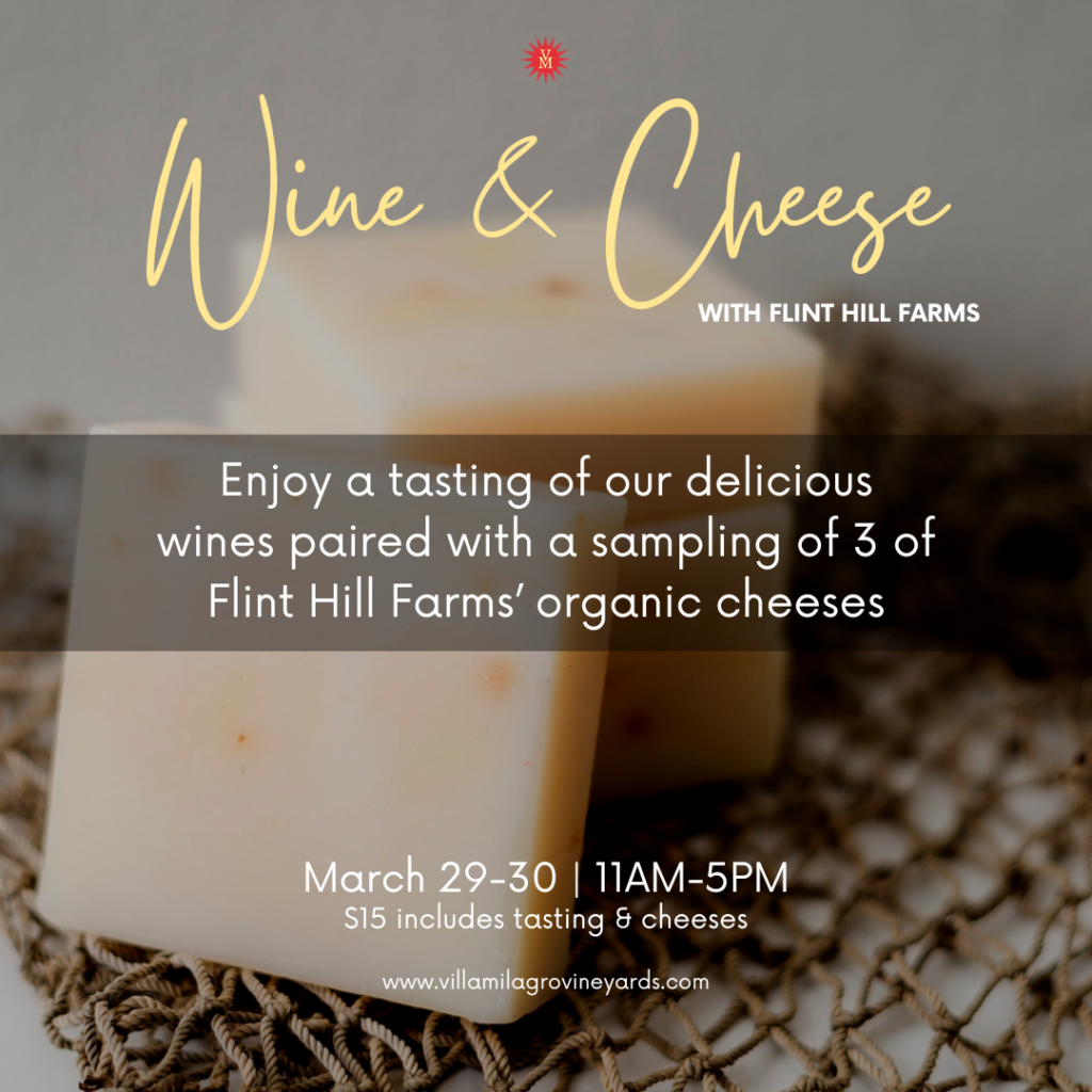 Wine and Cheese with Flint Hill Farms - Villa Milagro Vineyards